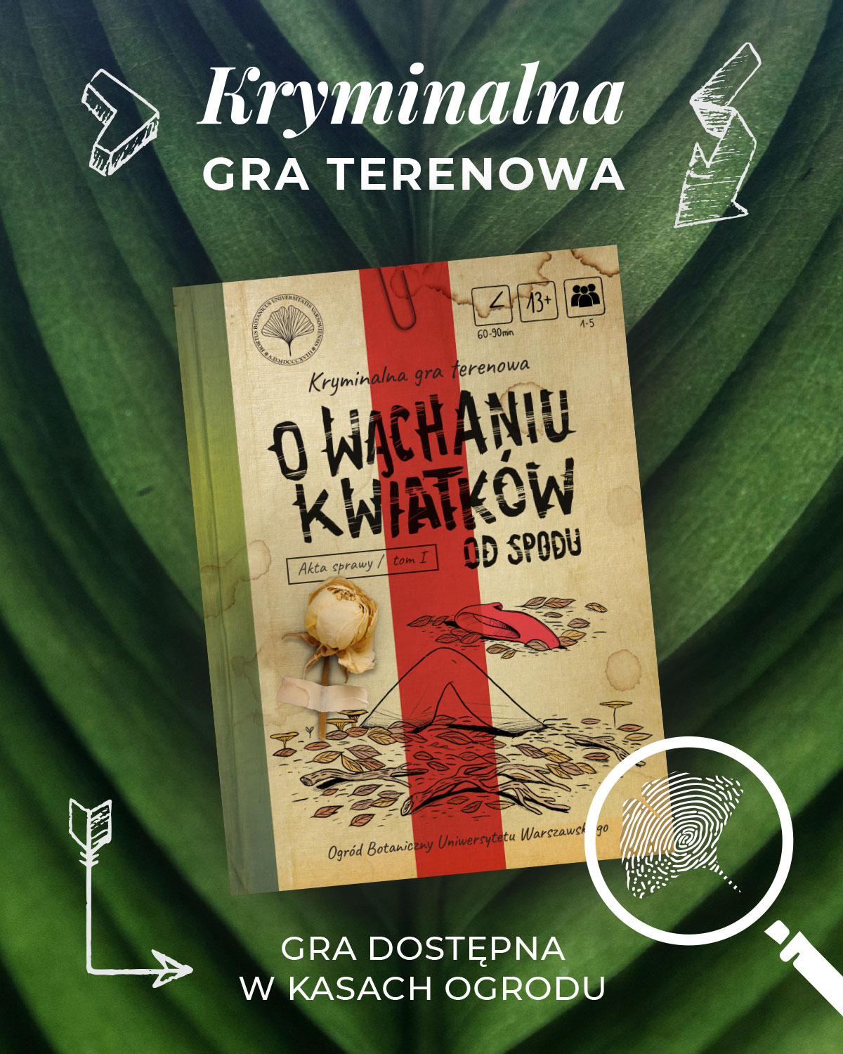 Tojad mocny - Ogród Botaniczny Uniwersytetu Warszawskiego